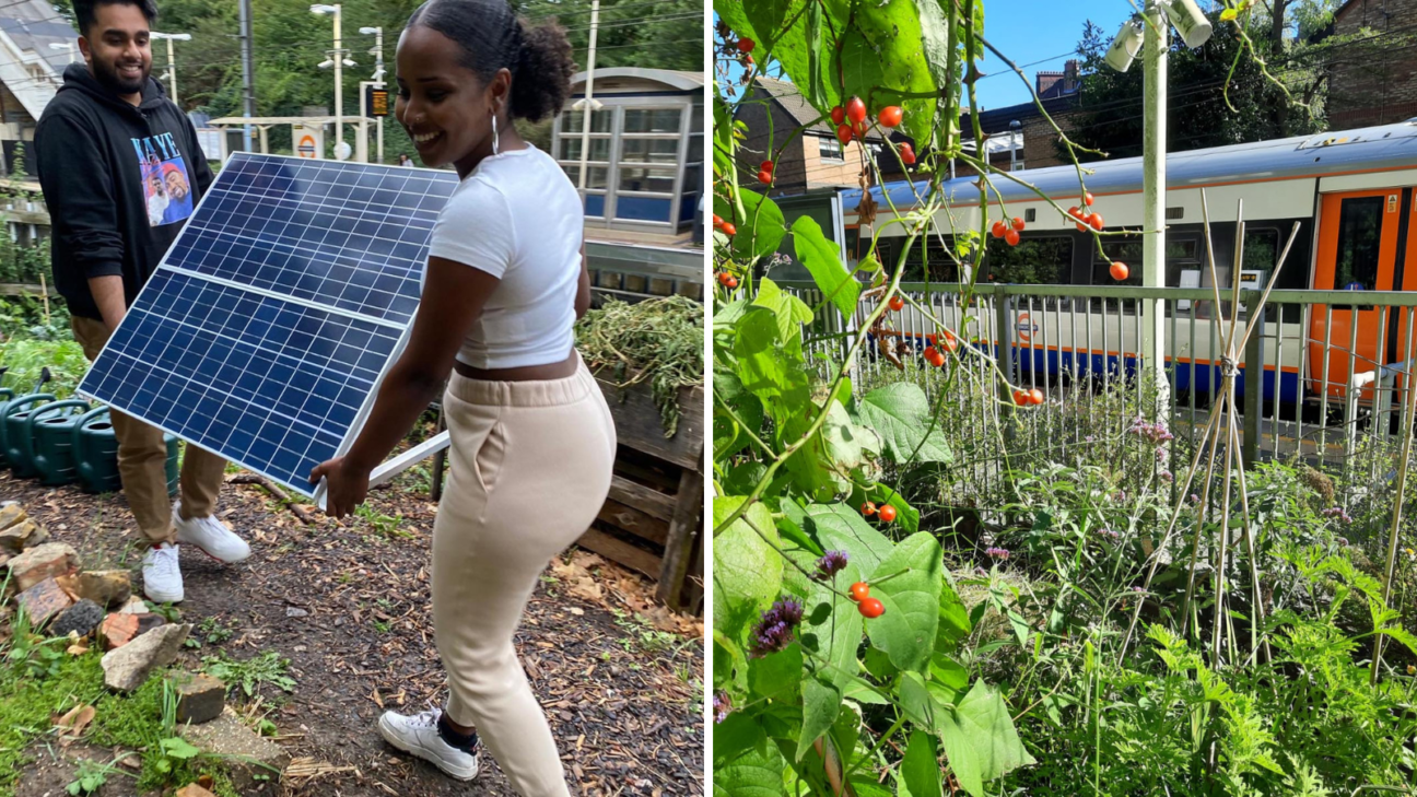 Energy Garden, London - Onboard.earth